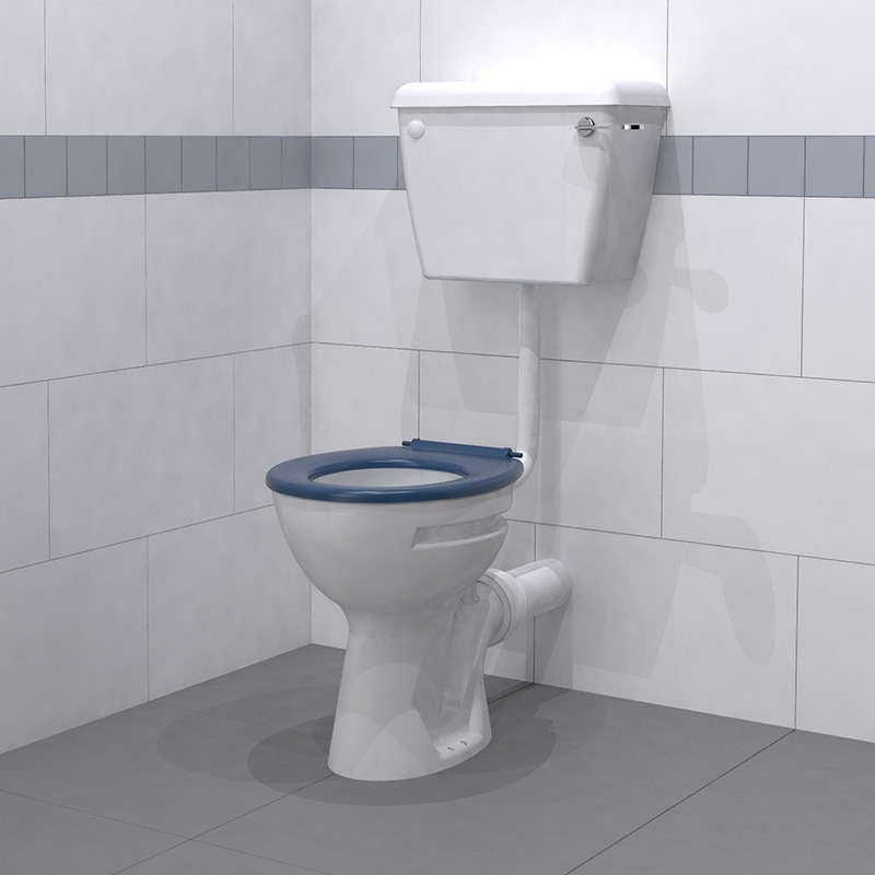 Low Level Doc M Toilet with Cistern and Doc M Toilet Seat • LLWARESET
